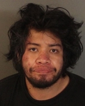 Weekly Crime Report December 26, 2016 - January 1, 2017