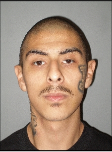 Gang Related Arrest