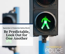 September is Pedestrian Safety Month: Be Predictable, Look Out for One ...